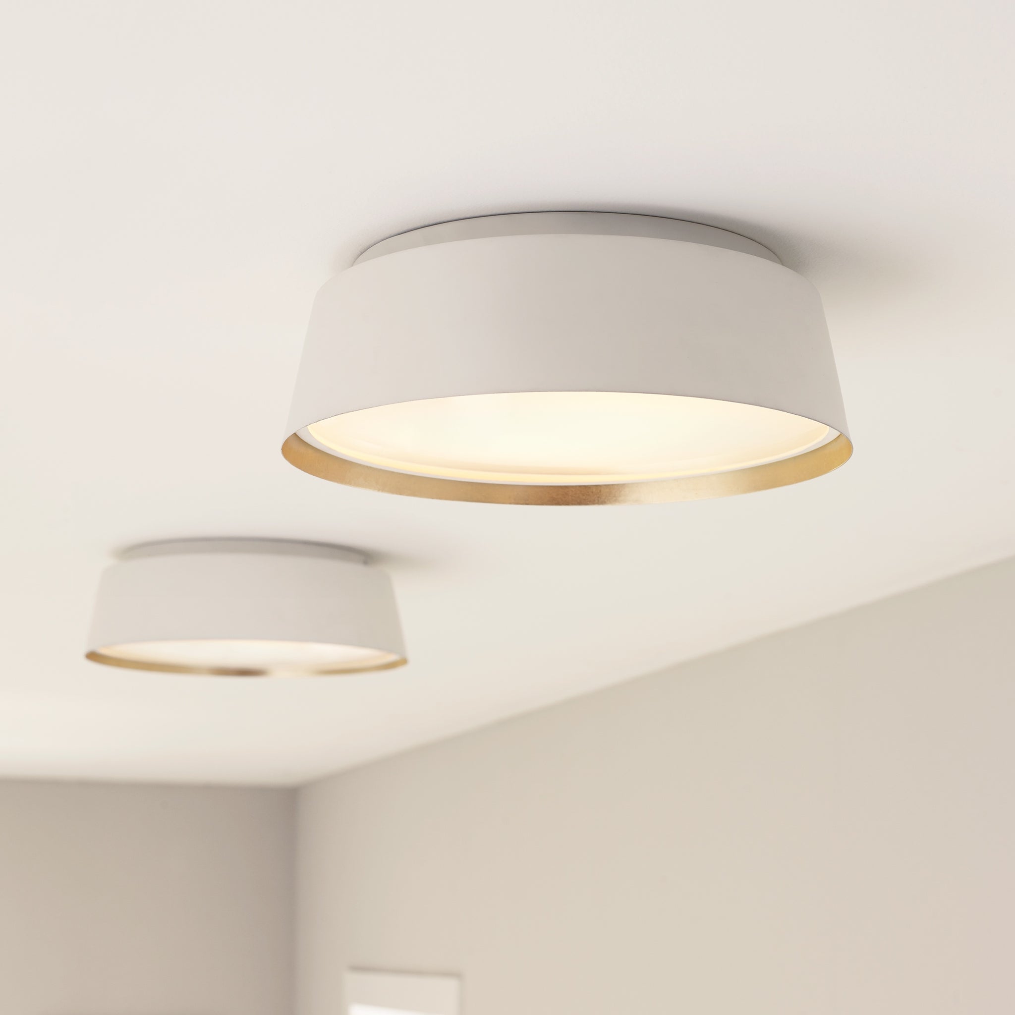ED Ellen DeGeneres - Urban Lighting