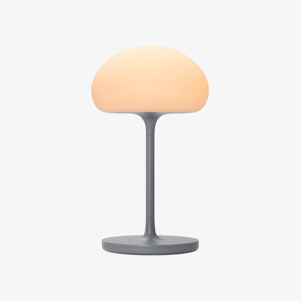 Sponge On A Stick Battery Light Portable - Urban Lighting