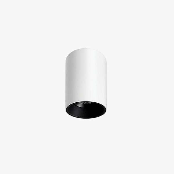 Titanium Small Surface Mounted Down Light - Urban Lighting